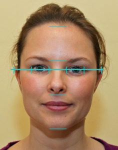 Facial Anatomy & Proportions - Hair & Makeup Artist Handbook