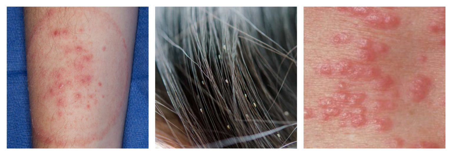 Hygienic Working Practices in Makeup - Hair & Makeup Artist Handbook